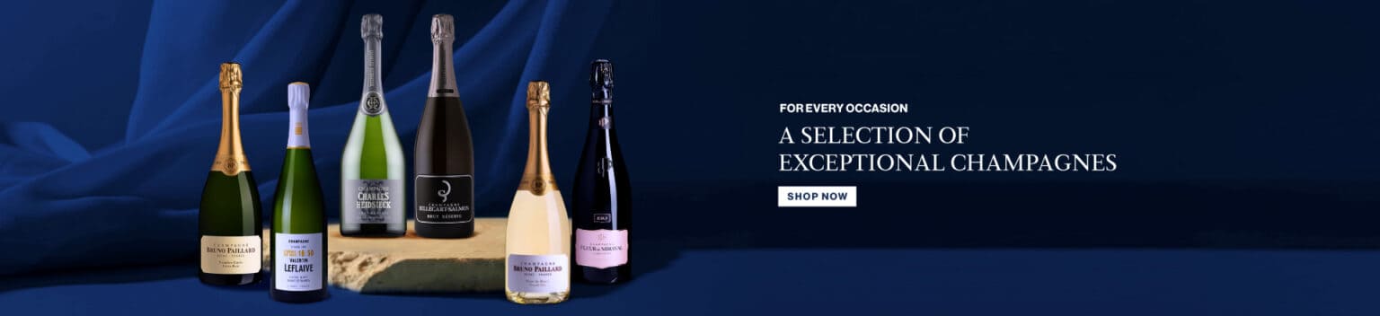 Le CLos Generic Champagne_banners-01 - Le Clos
