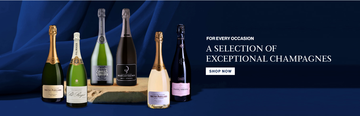 Le CLos Generic Champagne_banners-02 - Le Clos