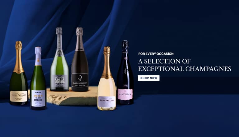 Le CLos Generic Champagne_banners-04 - Le Clos