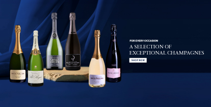 Le CLos Generic Champagne_banners-05 - Le Clos