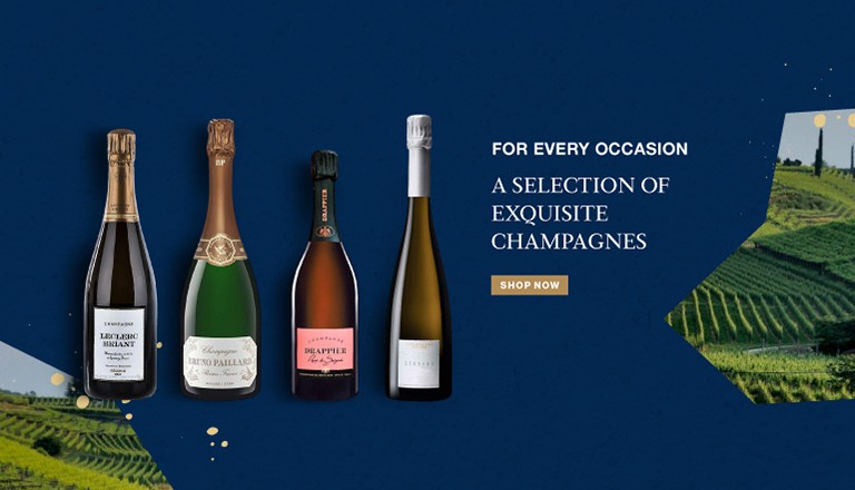 Zuma Banner - Le Clos